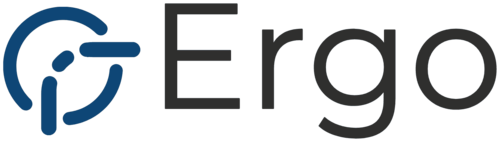 Software Engineer - Backend at Ergo | Y Combinator