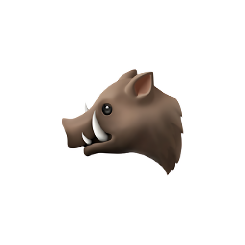 Founding Engineer at The Hog | Y Combinator