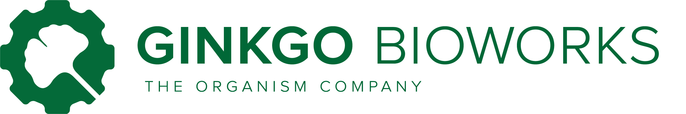 Jobs at Ginkgo Bioworks (S14) | Y Combinator's Work at a Startup