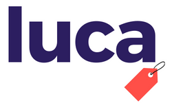 Launch YC: Luca - Meet the pricing co-pilot for e-commerce businesses ...