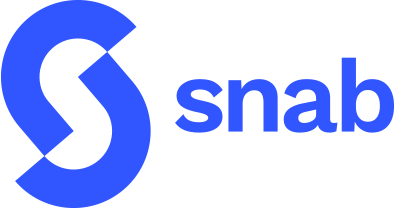 SNAB: A global treasury management platform for complex multi-group and ...