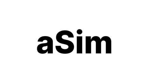 aSim | Y Combinator's Work at a Startup
