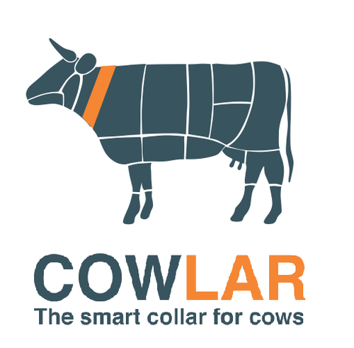 Cowlar: Fitbit for dairy cows. Farms use cowlar's alerts ...